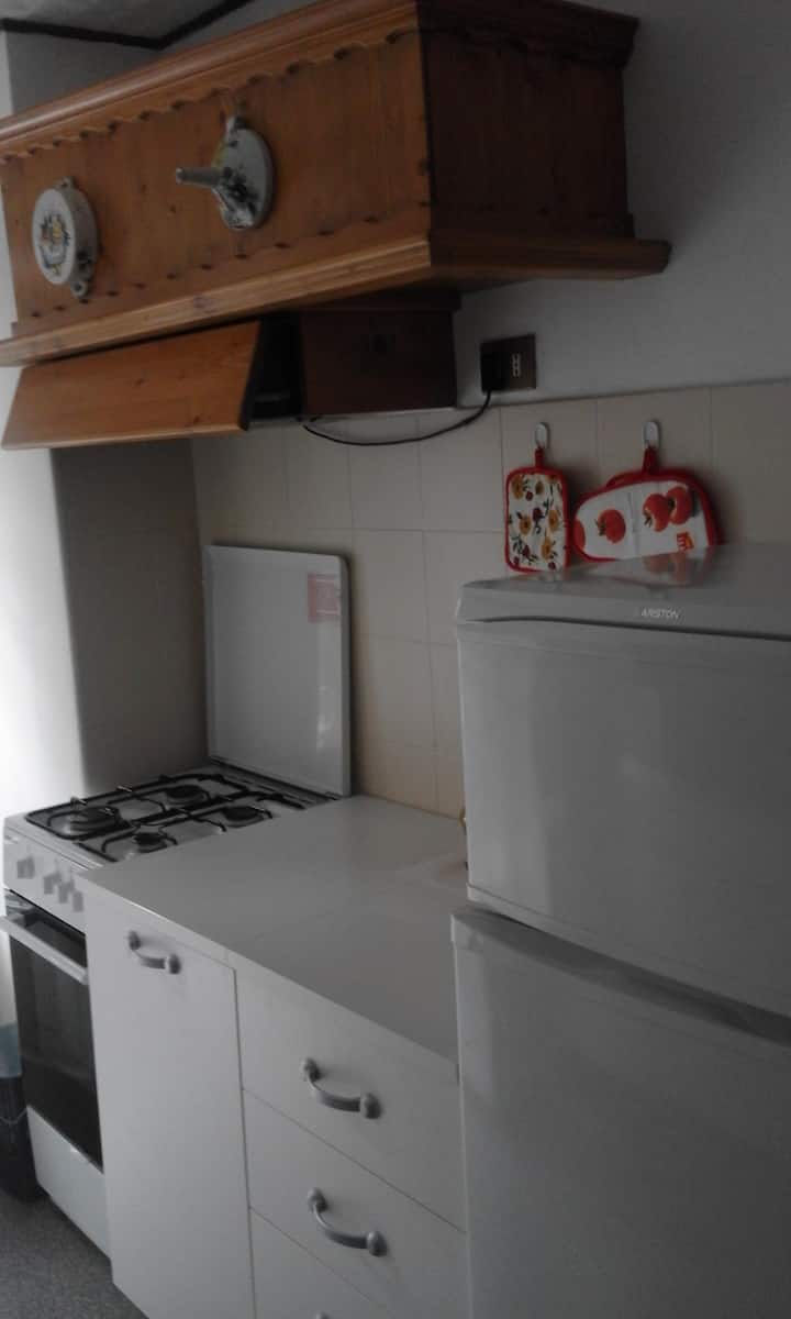 Vintage Style Apartment - Auronzo