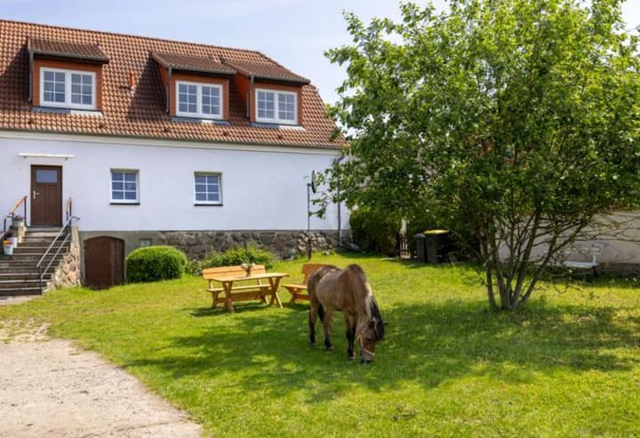 Ferienwohnung Flori´s Ponyhof - Bad Doberan