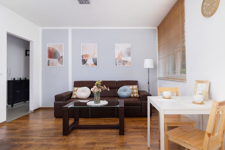 Działkowa 1 | Comfortable Apartment | Wifi - Katowice