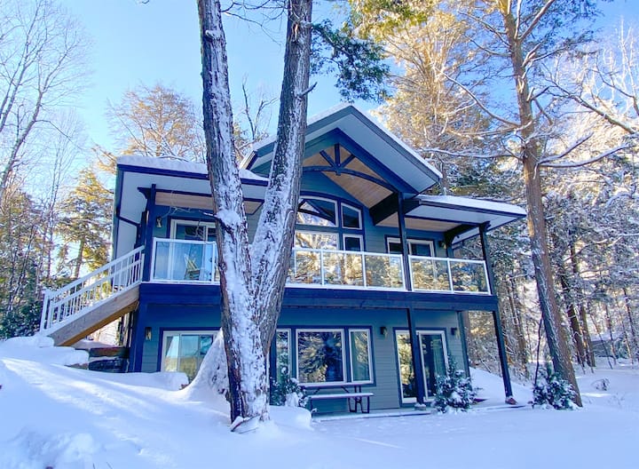 Winter Fun Ev Charger Fireplace Ofsc Trail Dog Ok - Algonquin Provincial Park