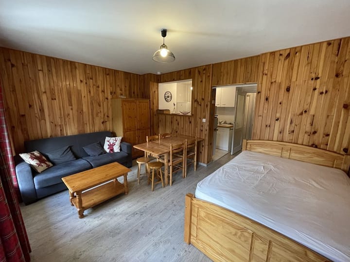 Studio Rénové Au Lioran Avec Animaux Acceptés - Le Lioran (Super Lioran)