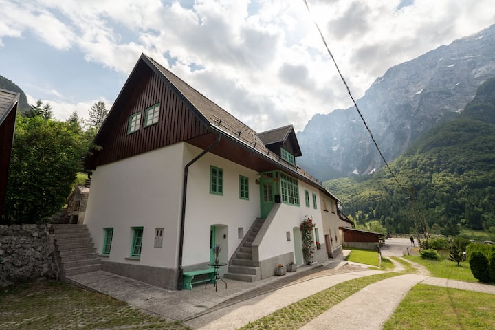 Pri Dopivcu 1 - Log pod Mangartom