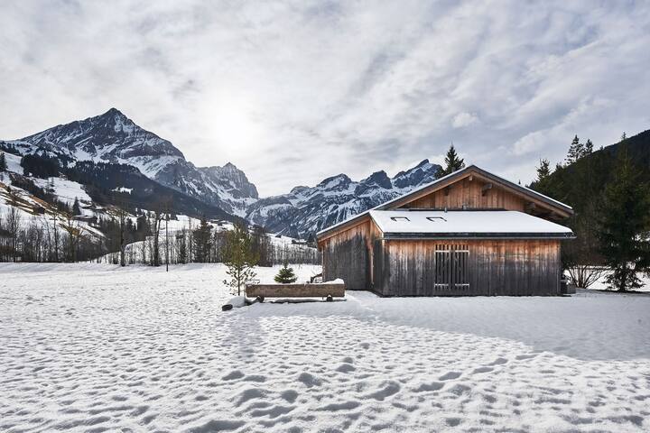 Top-notch Gstaad Chalet With Supreme Interior - Lauenen