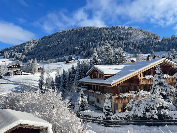 Luxurious Alpine Flat With Hotel Amenities - 格施塔德