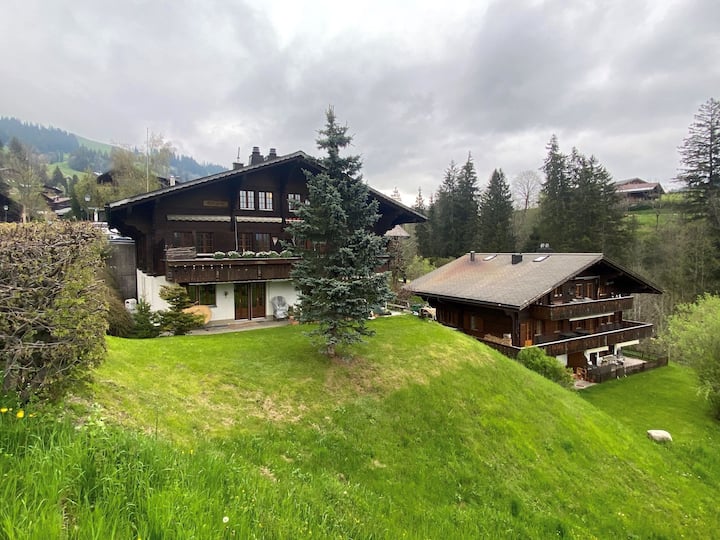 Vibrant 3-bedroom Ski Chalet In Gstaad - Zweisimmen