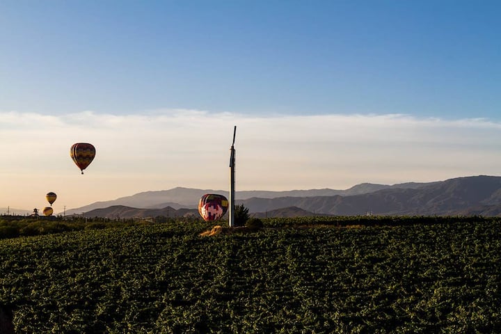 Carriage House At Hidden Vineyard - Temecula, CA