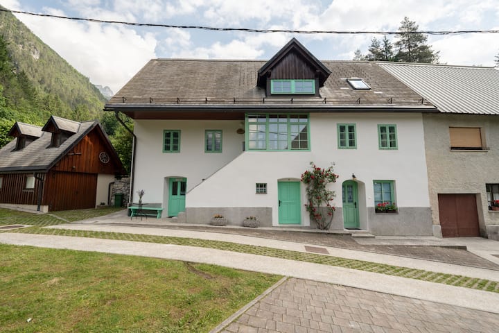 Pri Dopivcu 2 - Log pod Mangartom