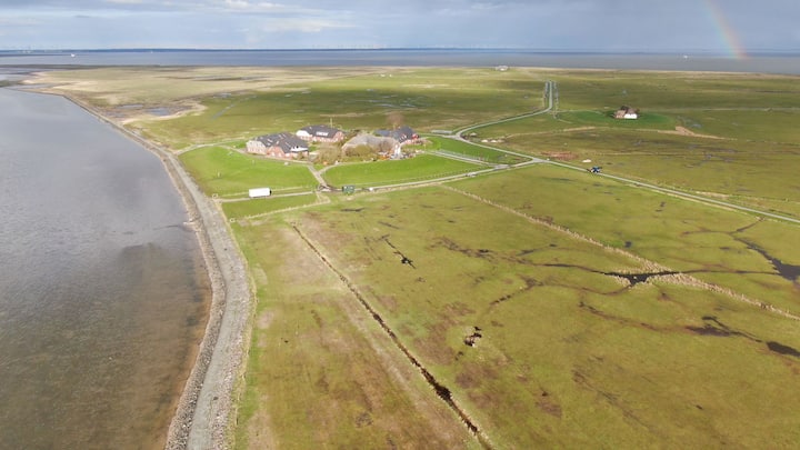 Hallig Hüs 1 - Langeneß