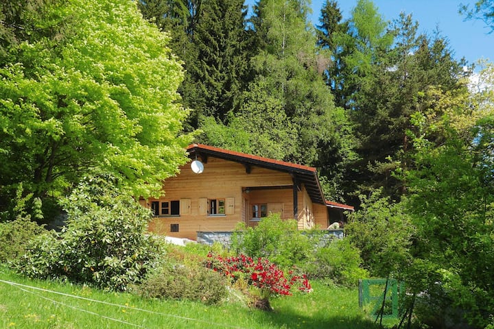 Maison De Vacances Schneider, Rinchnach-anc. Tui - Zwiesel
