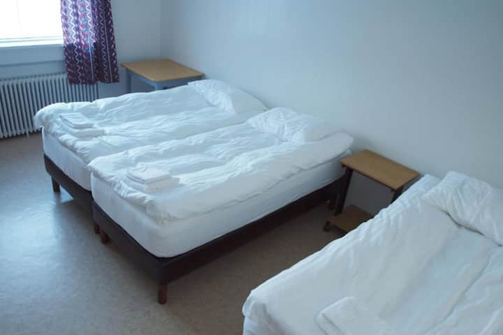 The Nest - Triple Room With Shared Bathroom - Islande