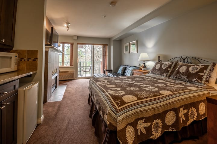 Ideal Studio Near The Airport! 203b - Kelowna