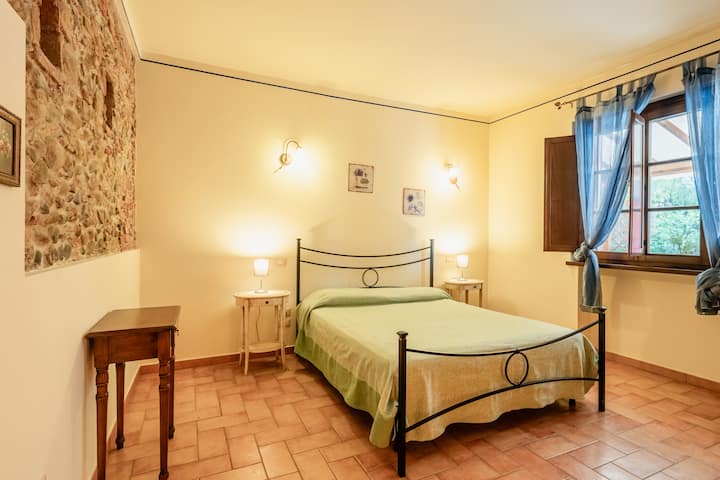 Ortensia Verde - Montecarlo, Italy