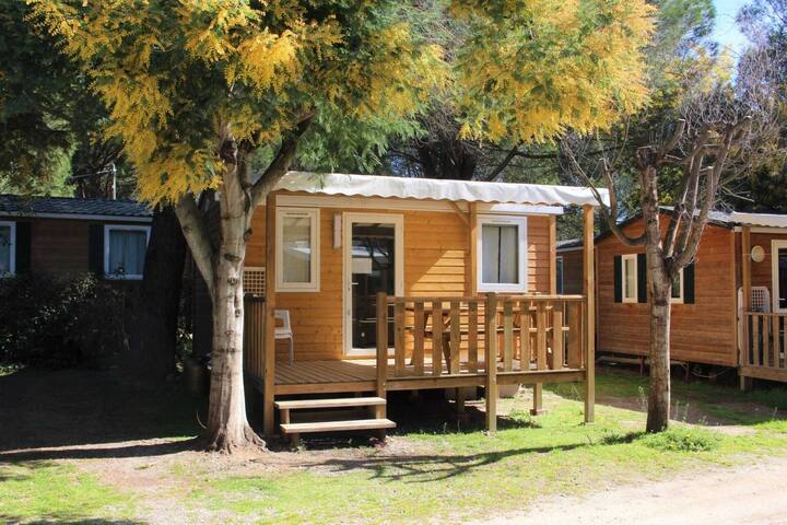 Chalet 3 éToiles - Cca0gbd - Saint-Jean-Pla-de-Corts