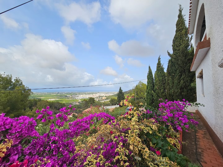 Panorama 1 - Gandía