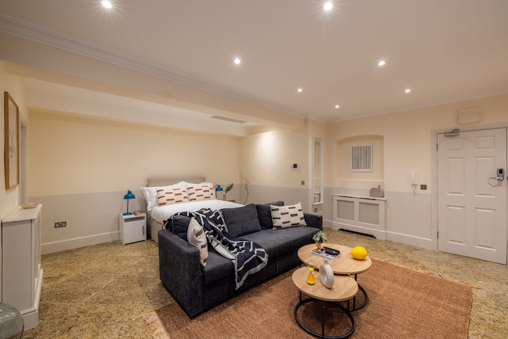 Newly Refurbished, Superior Studio Lower Ground - Chelsea