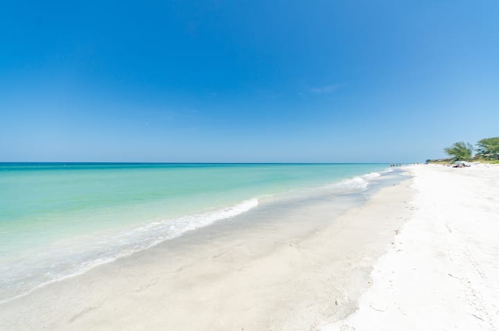 Carriage House, Unit 1 - Indian Shores, FL