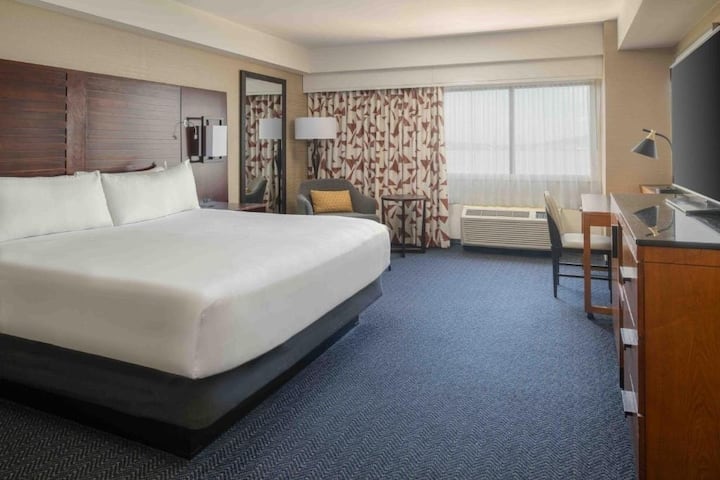 King Room Near Kezar Life Sciences San - 布里斯班