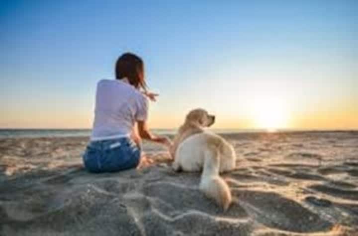 The Nautilus W/garage:2 Bd/2ba~ 2 Blocks 2 Beach~2 - Long Beach, CA