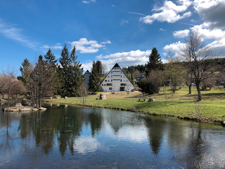 2 Zimmer Wohnung, Mit Sonnenterasse - Triberg im Schwarzwald