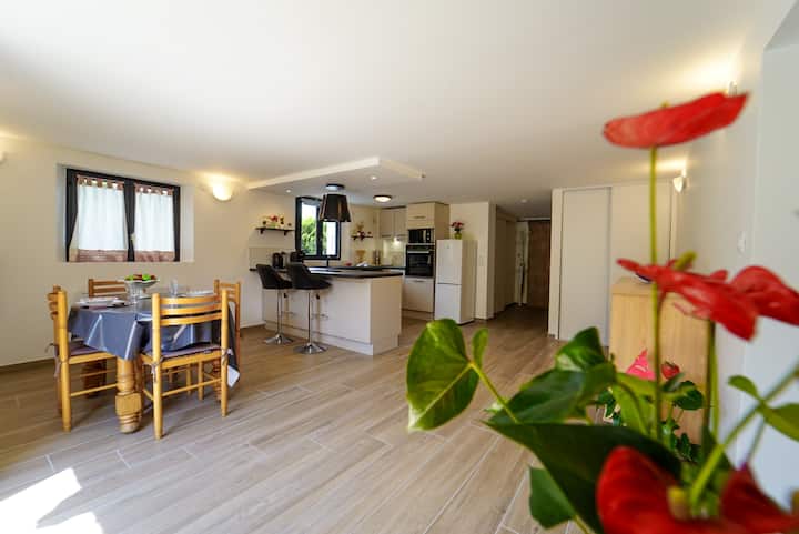 Le Crêt Du Lac Charmant Appartement Au Calme - Sévrier