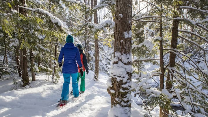 Pet-friendly Woodsy Cabin W Bbq, Firepit And More - Ottawa