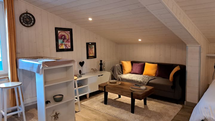 Studio Cosy Au Centre De Châteaubriant - Châteaubriant