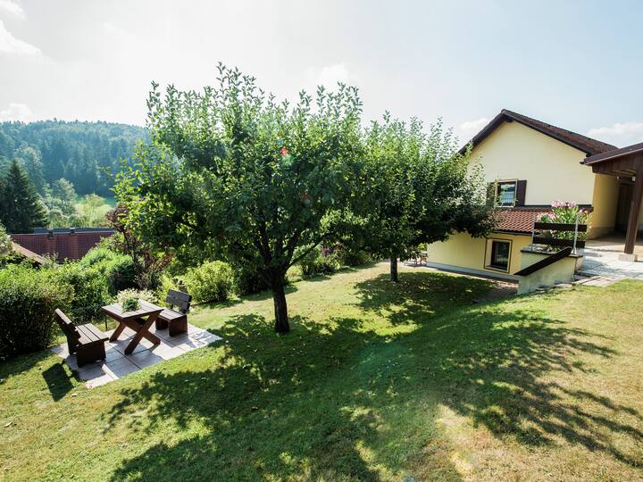 Appartement Près De La Forêt à Plankenstein - Hollfeld
