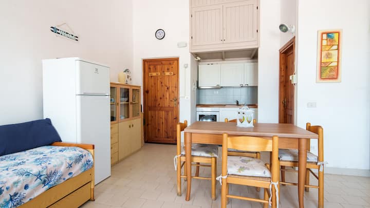 Welcomely - Corallo Blu - San Teodoro, Sicily
