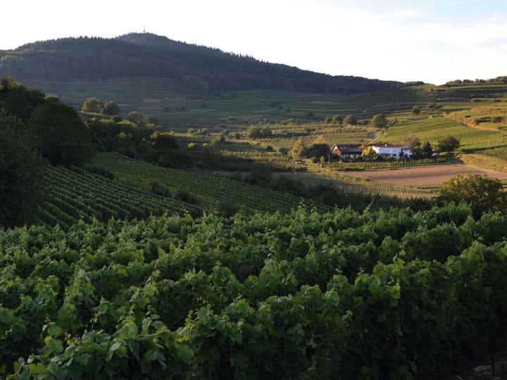 Ferienwohnung Schambachhof - Bötzingen
