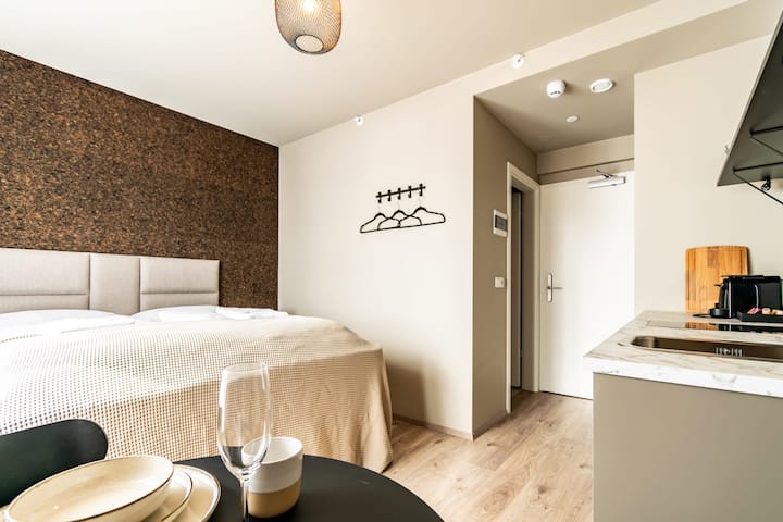 Frost Apartments - Standard Studio - Reykjavík