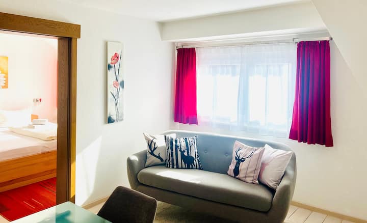 Ferienwohnung Erika - Schluchsee