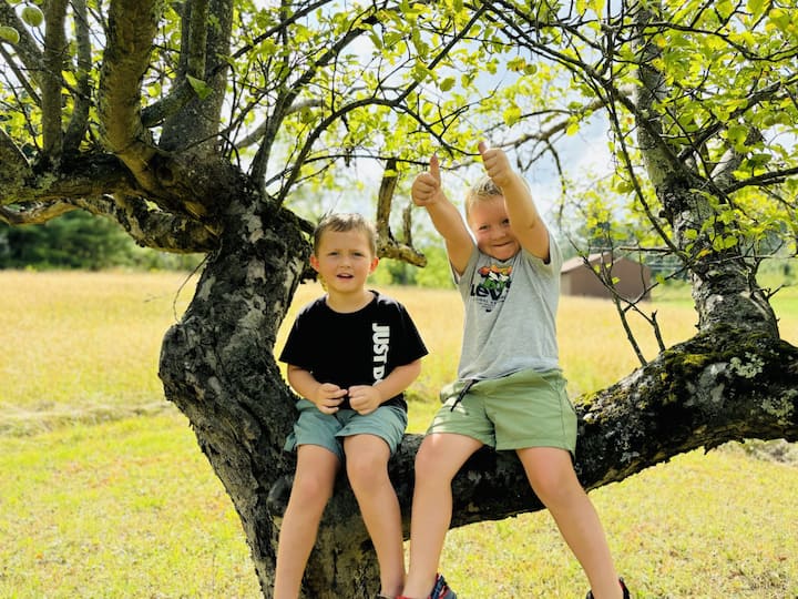 Winter Fun In Ohiopyle Cozy Home Hot Tub, Firepit - Farmington, PA