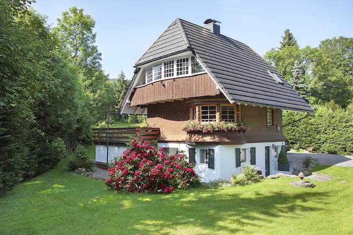 Schwarzwald-chalet Am Birkenhain - Feldberg