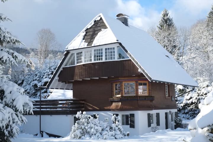 Schwarzwald-chalet Am Birkenhain - Feldberg
