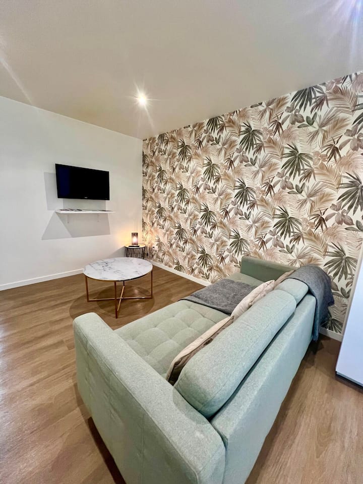 Casa Viasud 3 - T2 Design Climatisé -Centre Brive - Brive-la-Gaillarde