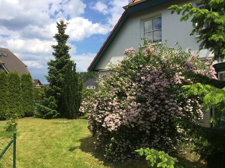 Ferienwohnung In Trassenheide - Trassenheide