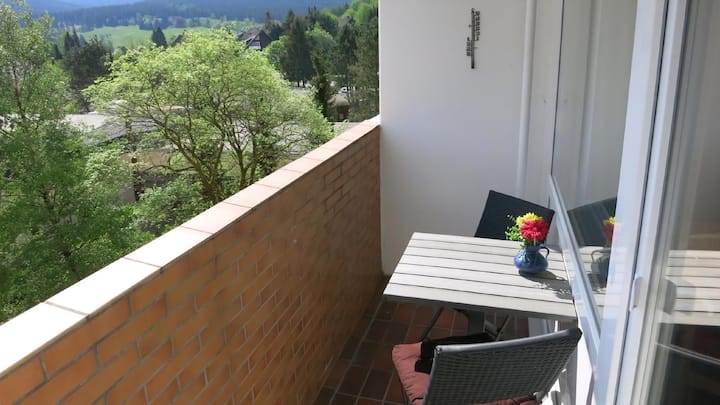 Renovierte Ferienwohnung In Altenau Mit Garten - Torfhaus