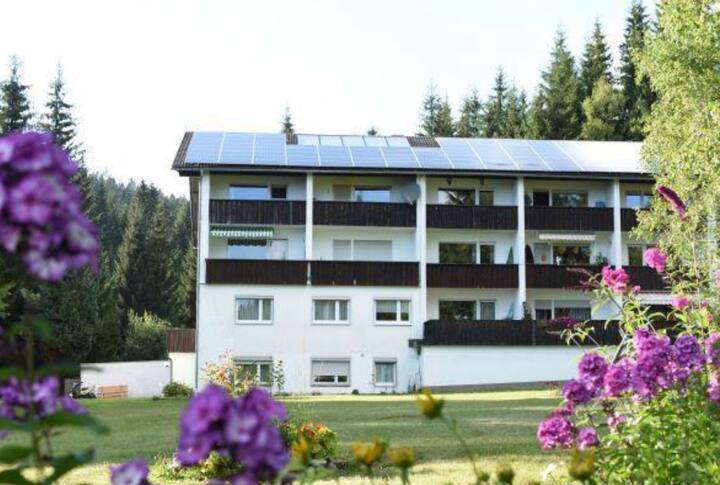 Ferienwohnung In Frauenberg Mit Garten - Haidmühle