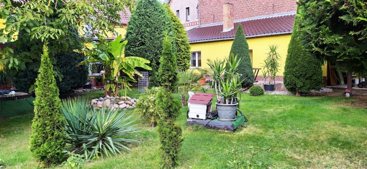 Gemütliche Wohnung Mit Terrasse - Bad Saarow