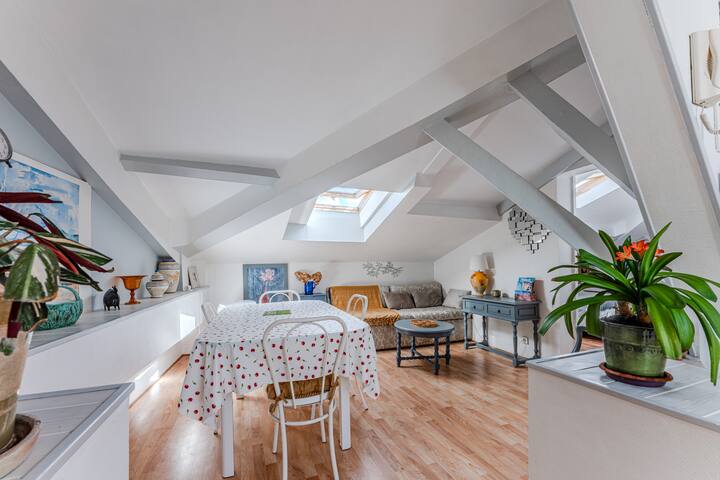 Appartement De Maitre Traversant - Arcachón