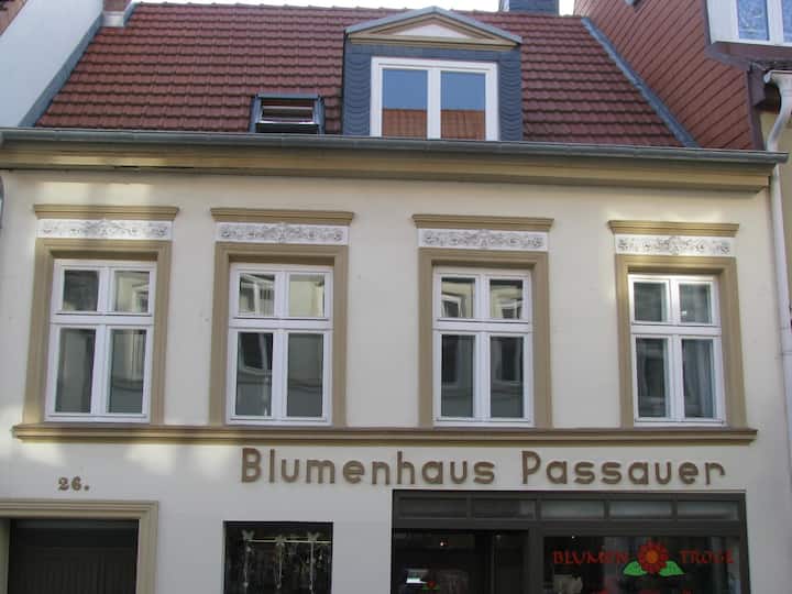 Moderne Ferienwohnung Mitten In Greifswald - Greifswald