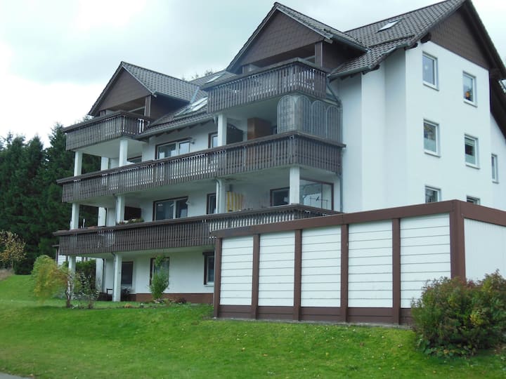 Ferienwohnung Mit Balkon In Hohegeiß - Braunlage