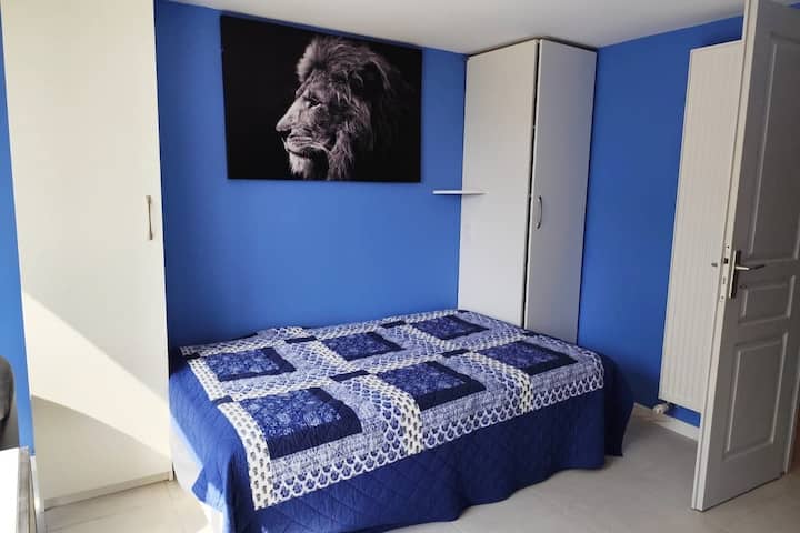 Les Bambous - Studio Avec Vue Proche Centre Ville. - Belley