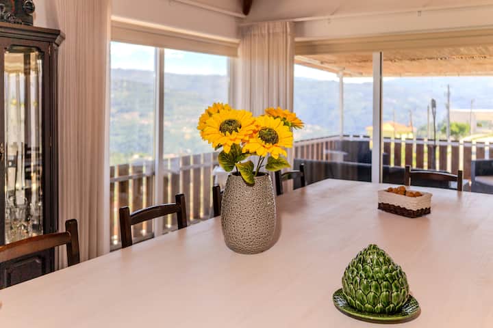 Mainson à La Ferme Du Paradis Dans Le Douro - Resende, Portugal