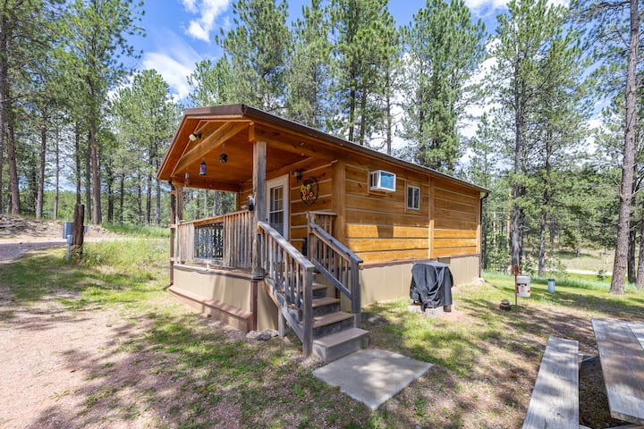 Cozy Log Cabin Near Custer - Custer, SD
