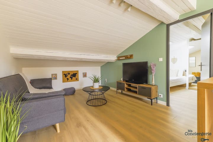 Taur -St-sernin Hyper-centre Toulouse - Jardin Royal, Toulouse