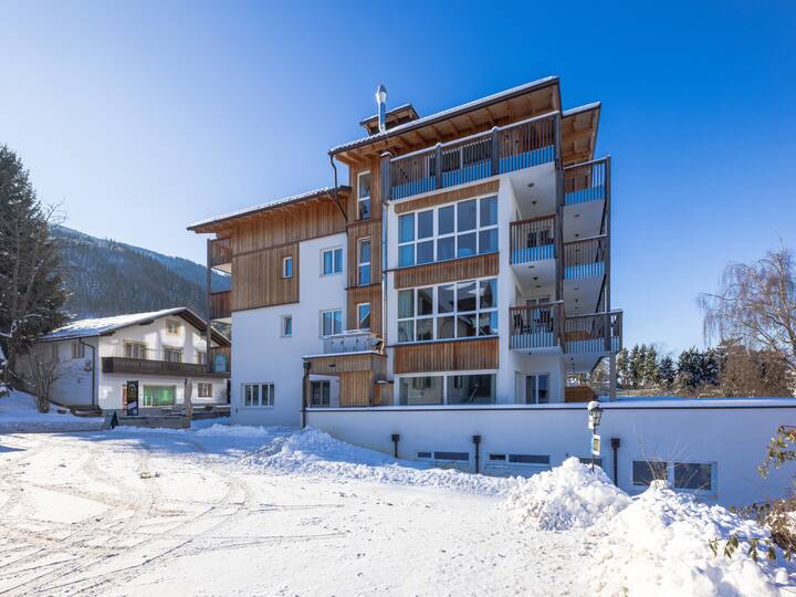 Appartement Avec Sauna Et Terrasse Sud-ouest - Haus