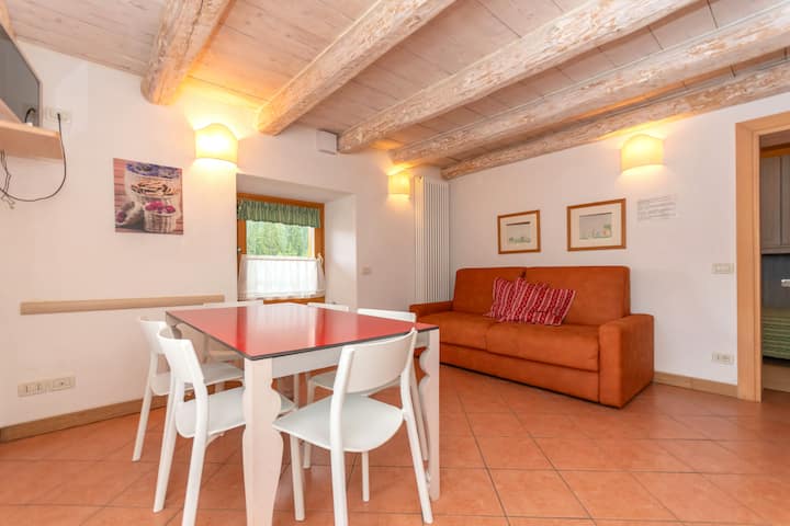 Casa Alessandra 3 - Piè Falcade
