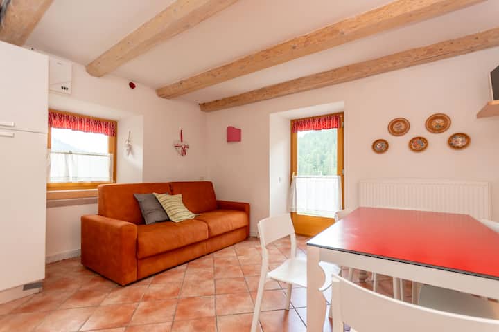 Casa Alessandra 1 - San Martino di Castrozza