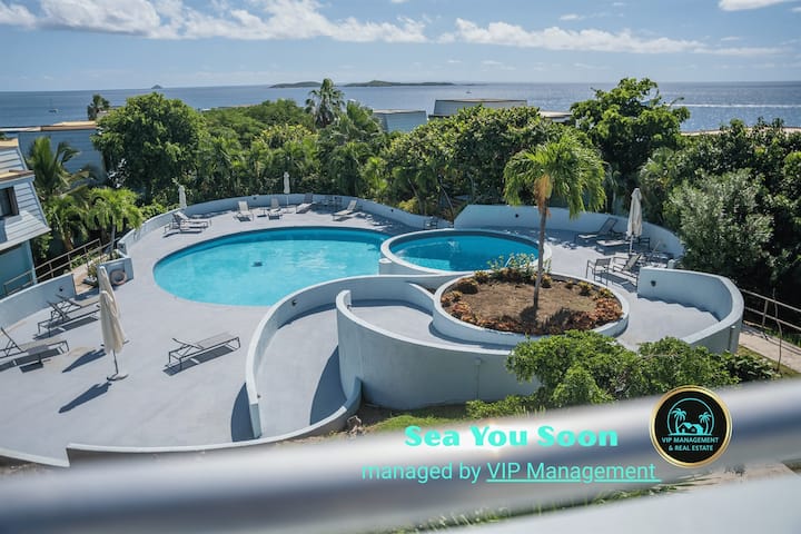 Sea You Soon Retreat- Ocean Views, Pool, Jeep - U.S. Virgin Islands